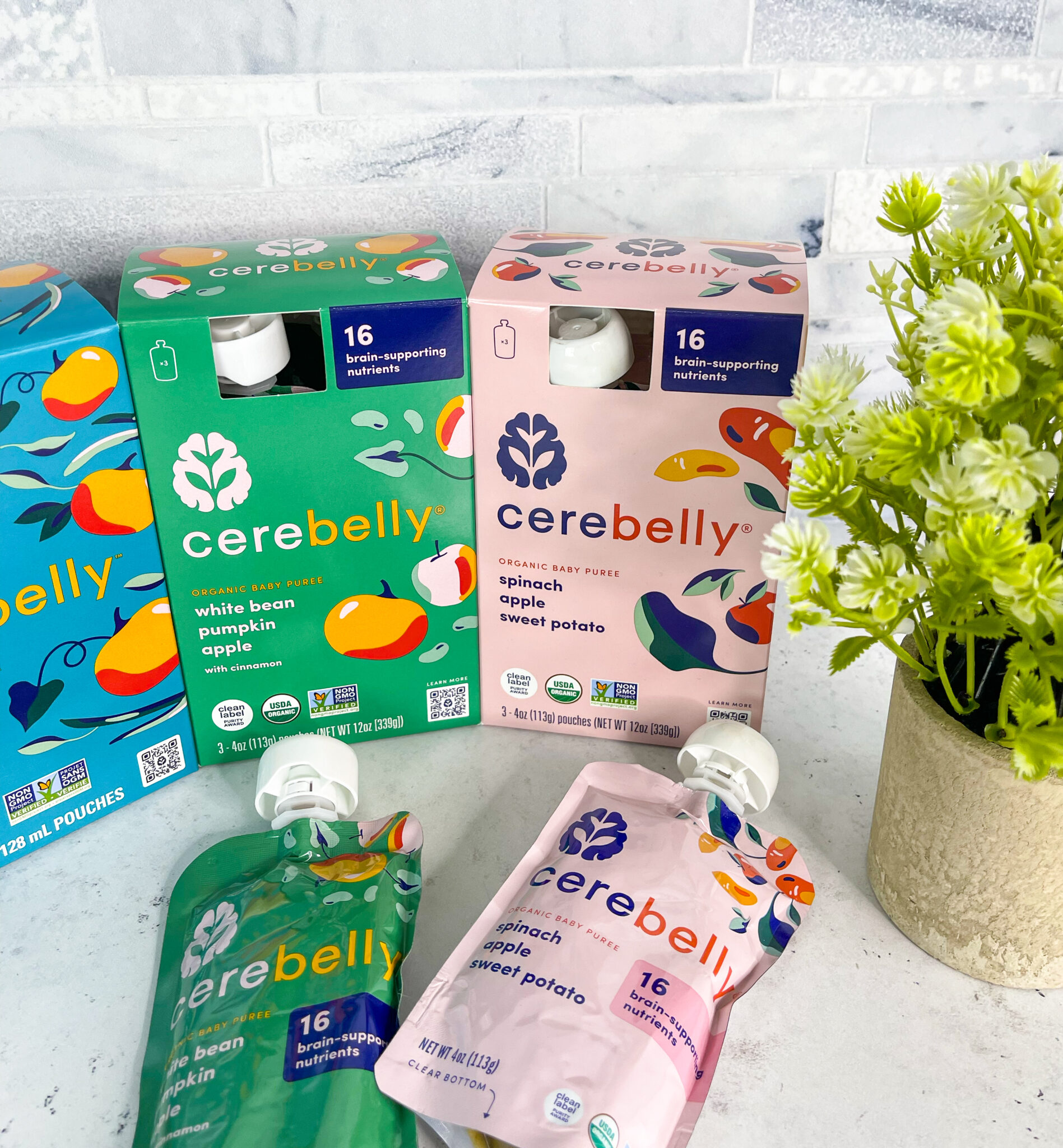 Color Palettes That Sell: Mastering Carton Box Packaging